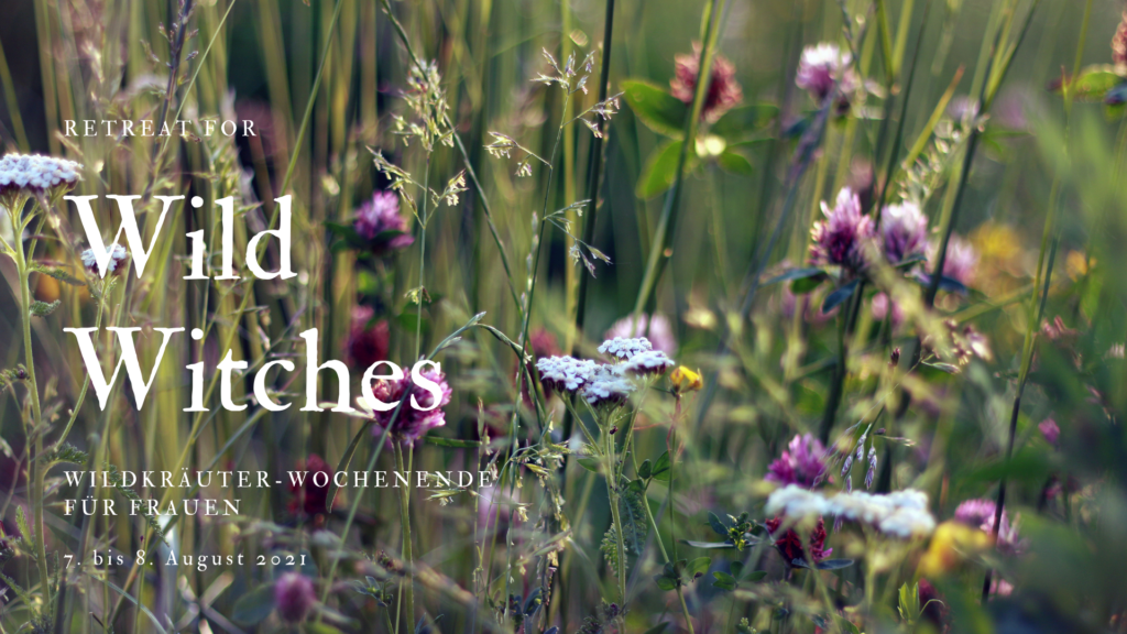 Wild Witches - Stephanie Mika-Wikenhauser